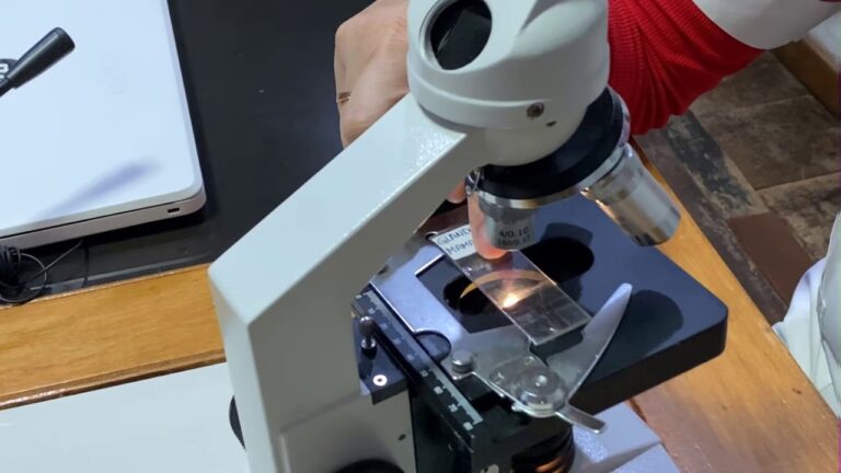 Manejo y Uso del Microscopio Óptico Compuesto: Guía Completa para ...